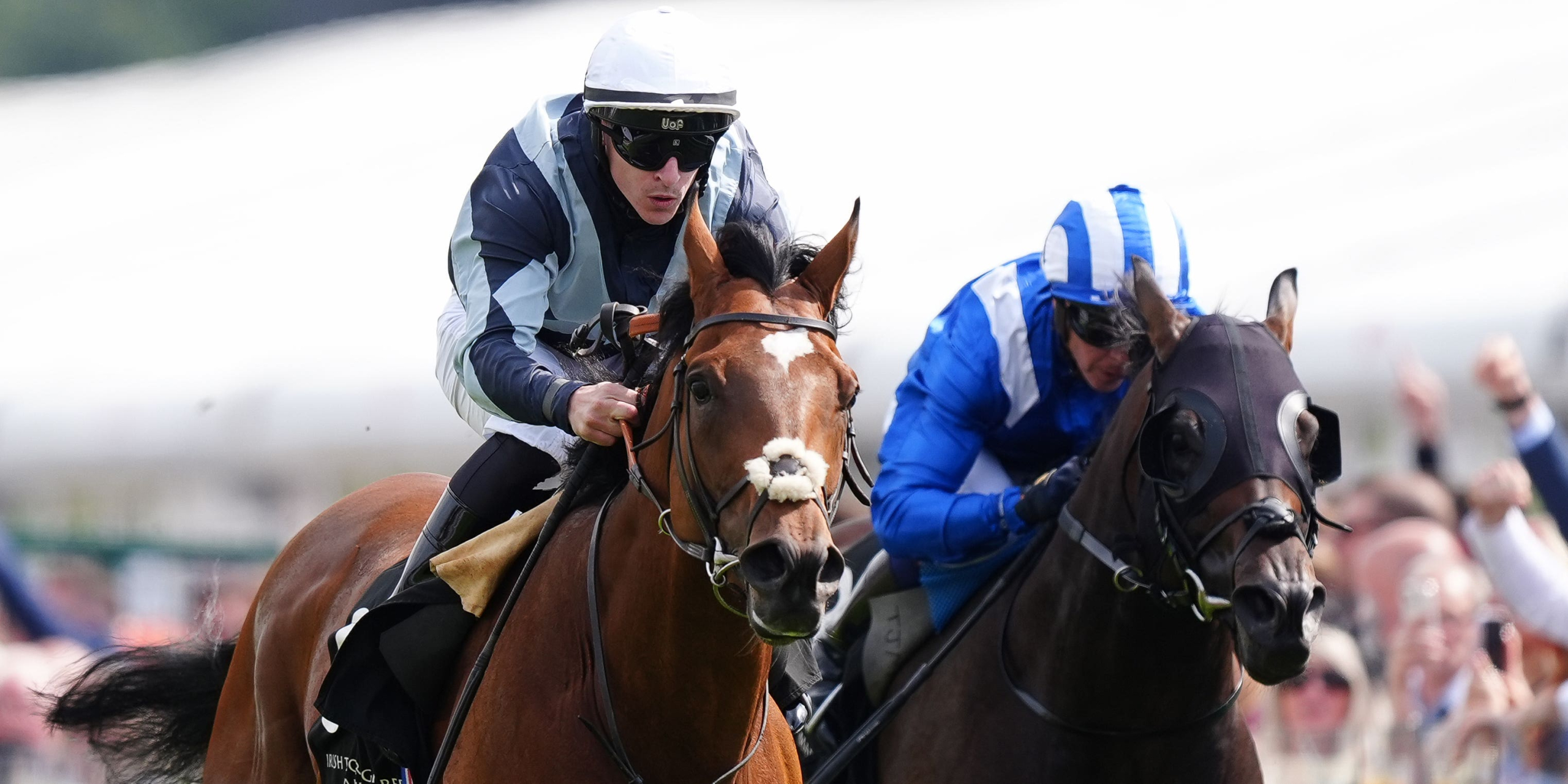 Passenger primed for Prince of Wales’s challenge geegeez.co.uk